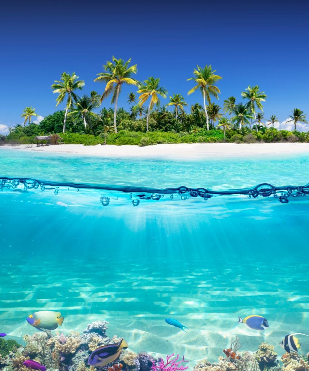 Home | Skyline Travel & Tourism – Flights, Tours & Visa Services